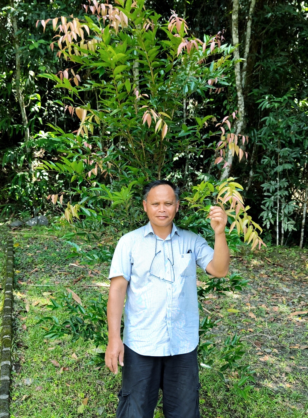 Leaf it to nature: Exploring the world’s first nickel garden in Sabah