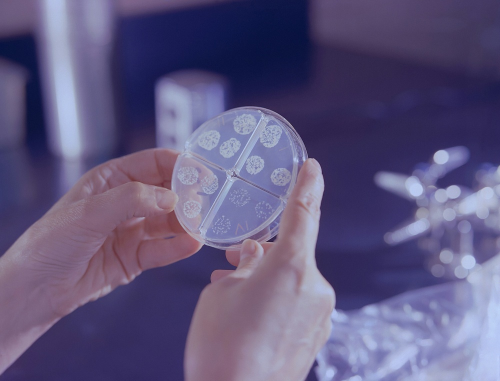 Facts, risks and response: What we know about the tuberculosis outbreak ...