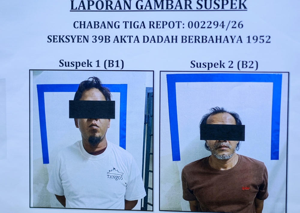 Ganja buds: Terengganu police seize luxury rides and RM1.76m in drugs ...