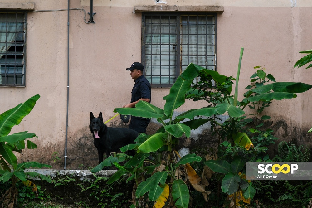 Kes bunuh Zayn Rayyan: Unit K9 mulakan pemeriksaan rumah ke rumah di Apartmen Idaman