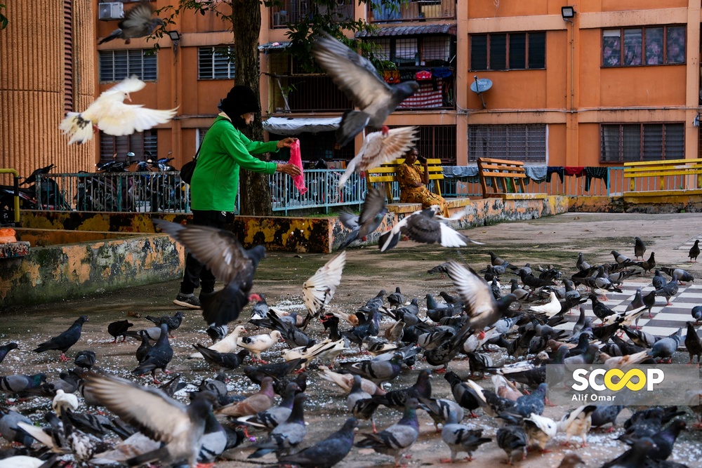 Photo of the day: Birds of a feather feast together