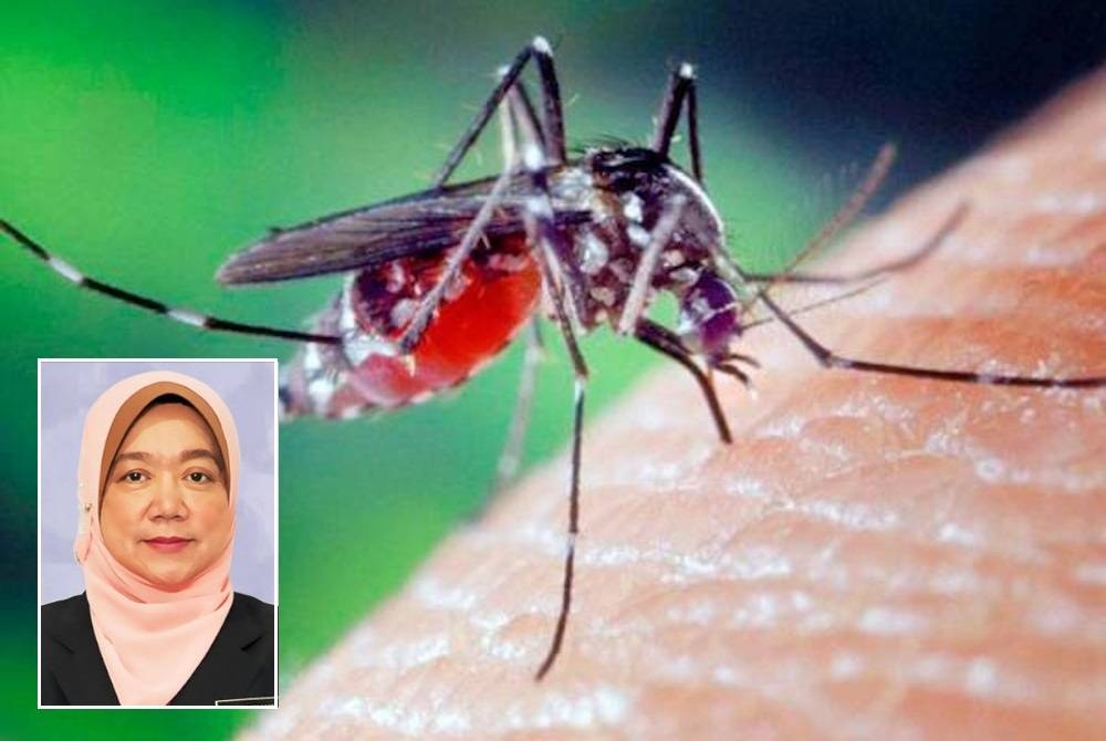 Kes malaria meningkat 75 peratus di Terengganu