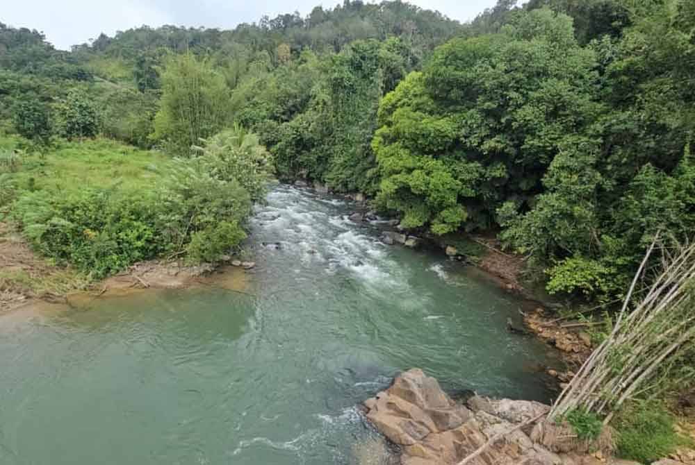 Populasi ikan sungai di Sabah meningkat