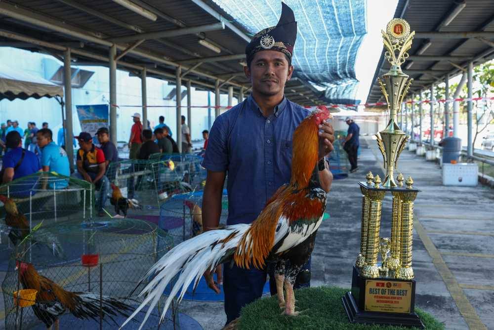 Pertandingan ayam ratu isi kalendar pelancongan Kelantan