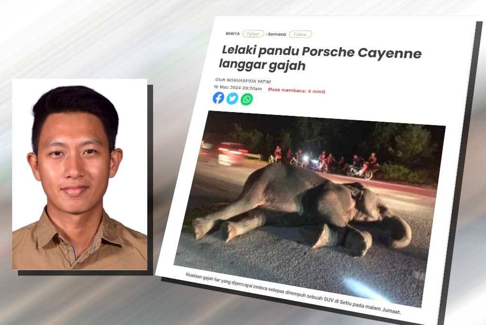 Konflik hidupan liar dan manusia semakin serius - Kuasa