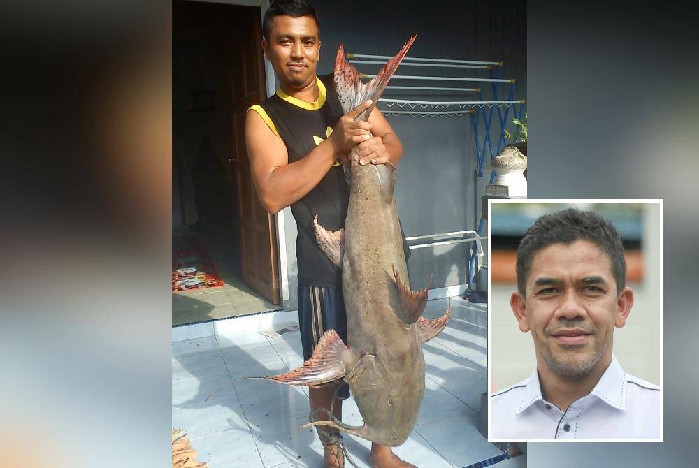 Kenerak spesies eksotik Sungai Pahang