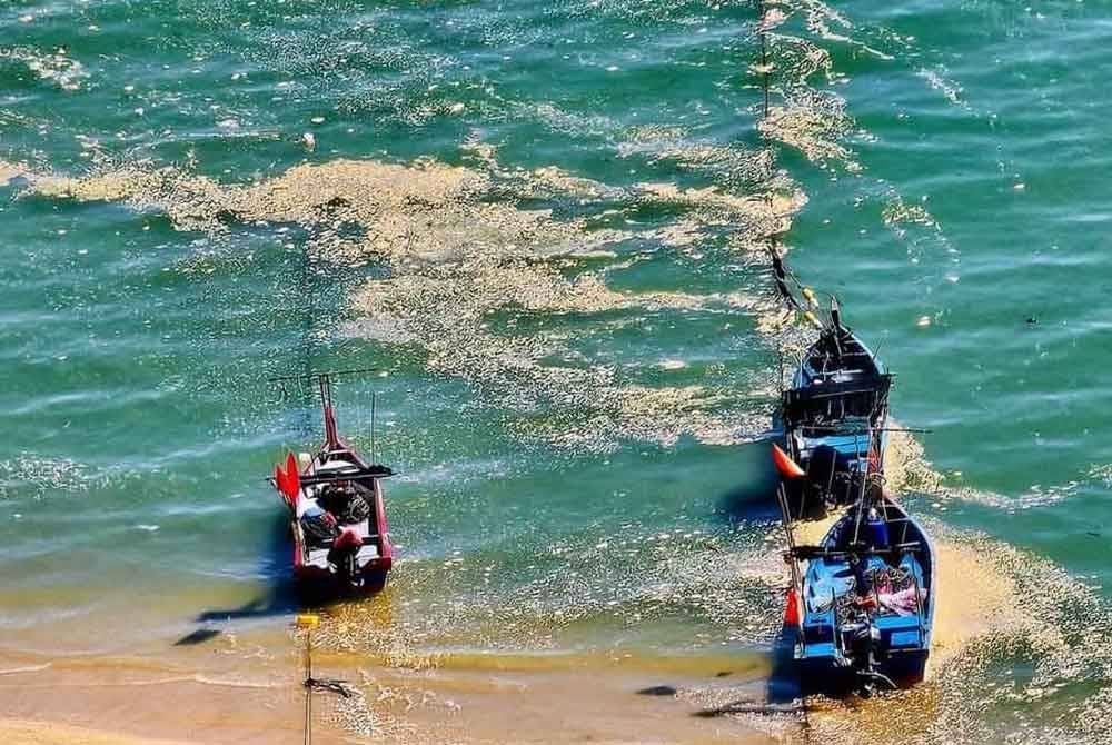 Bendasing di perairan Tanjung Bungah disiasat