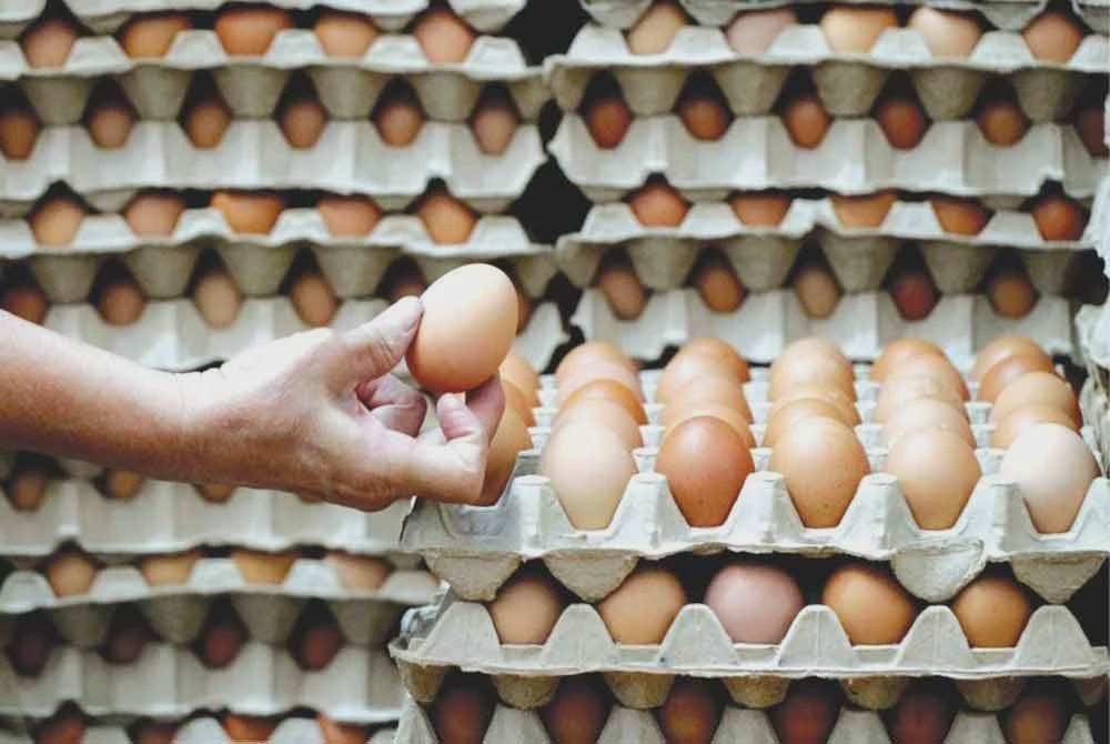 Kawalan harga, subsidi telur ayam ditamatkan bermula esok