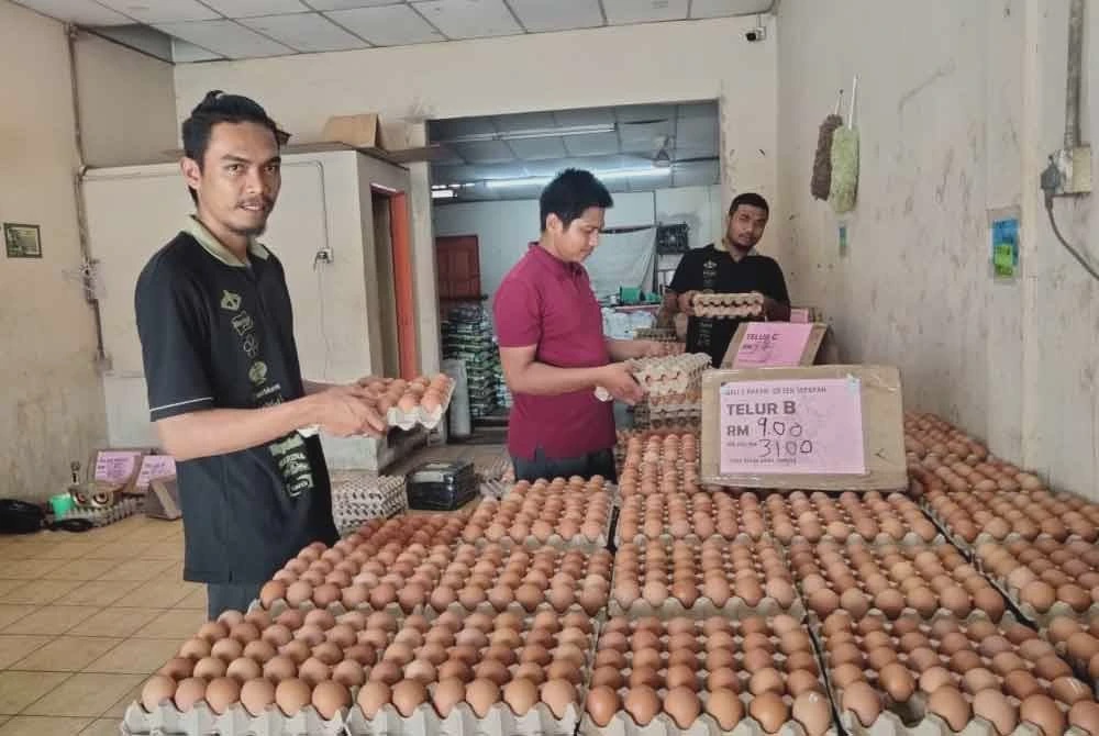 Belum ada kesan susulan kawalan harga, subsidi telur ayam