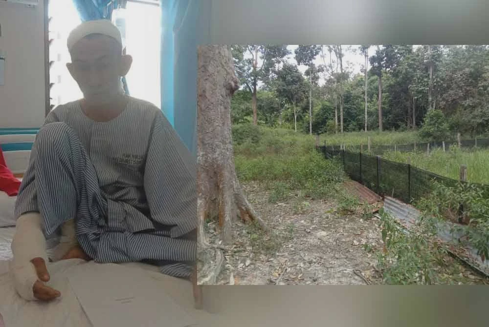 Mangsa diserang kucing tulap, bukan harimau kumbang - Perhilitan