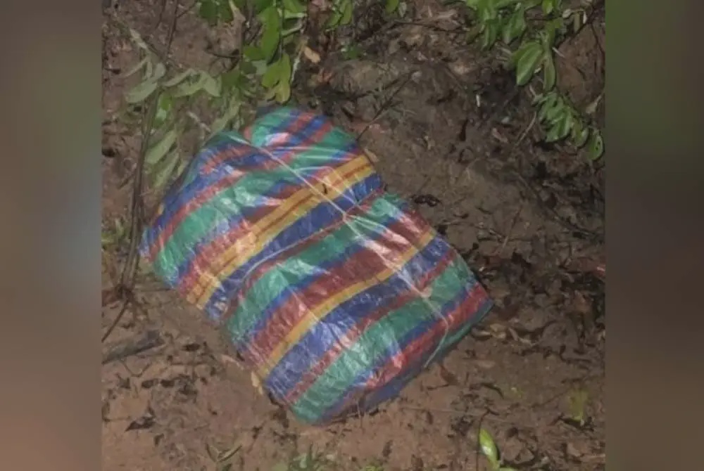 Cubaan seludup ganja RM690,000 di sempadan negara gagal