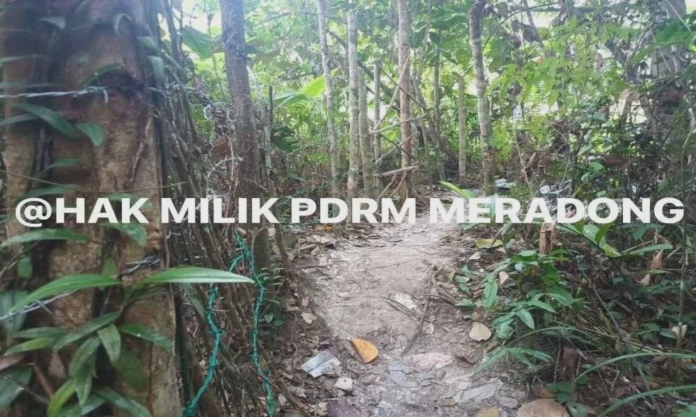 Sarang dadah dalam hutan lengkap dipasang kawat duri, pagar kayu diserbu