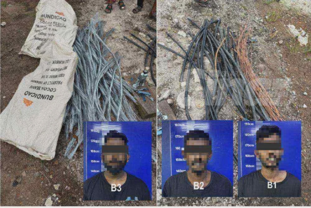 Tiga lelaki diberkas curi kabel dalam kebun pisang
