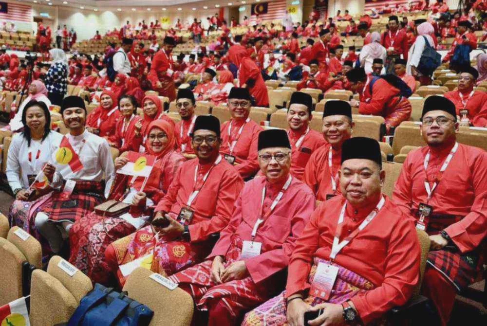 Sokongan orang Melayu kepada UMNO hanya 28 peratus - Ismail Sabri