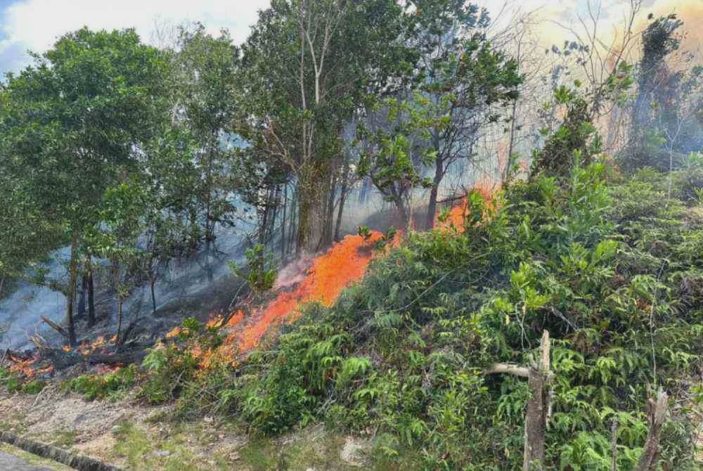 Bomba Melaka terima 20 kes lalang, belukar dan hutan terbakar hari ini