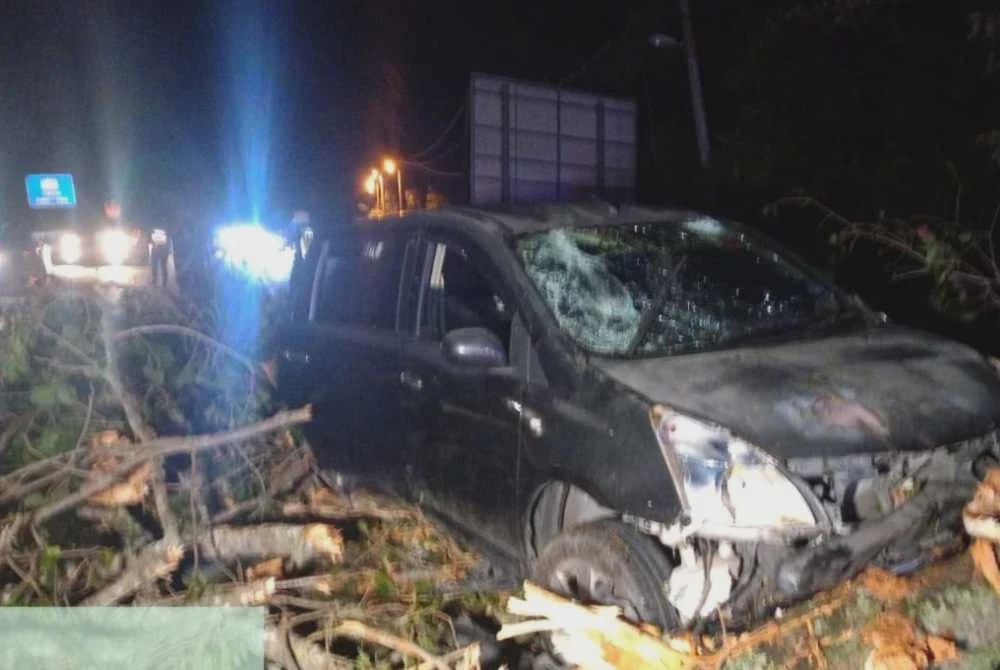 Pokok tumbang hempap dua kereta