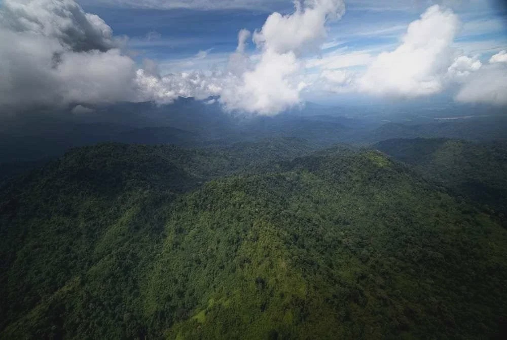 Angin kuat, hutan tebal cabaran operasi udara SAR Jaslinda - Newswav