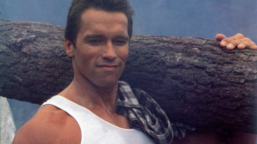 Arnold Schwarzenegger Had A Brutal Idea For Commando That Didn't Make ...