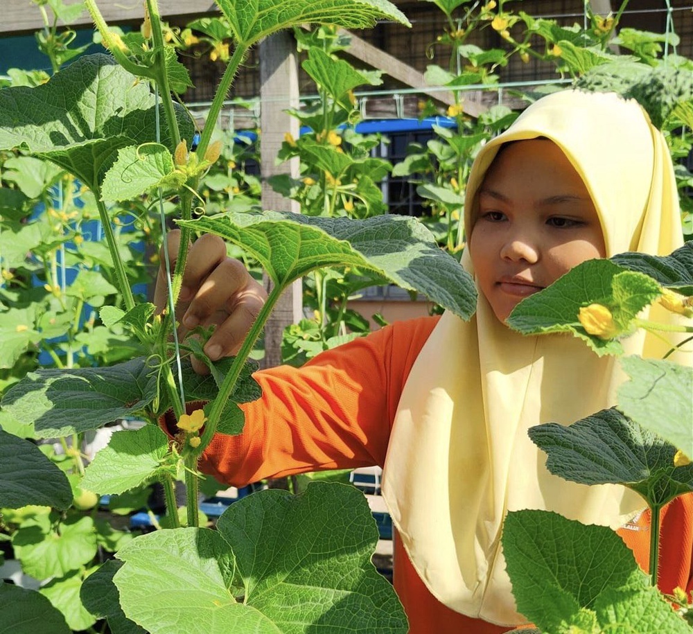 School’s urban farming project instills discipline in pupils, generates ...