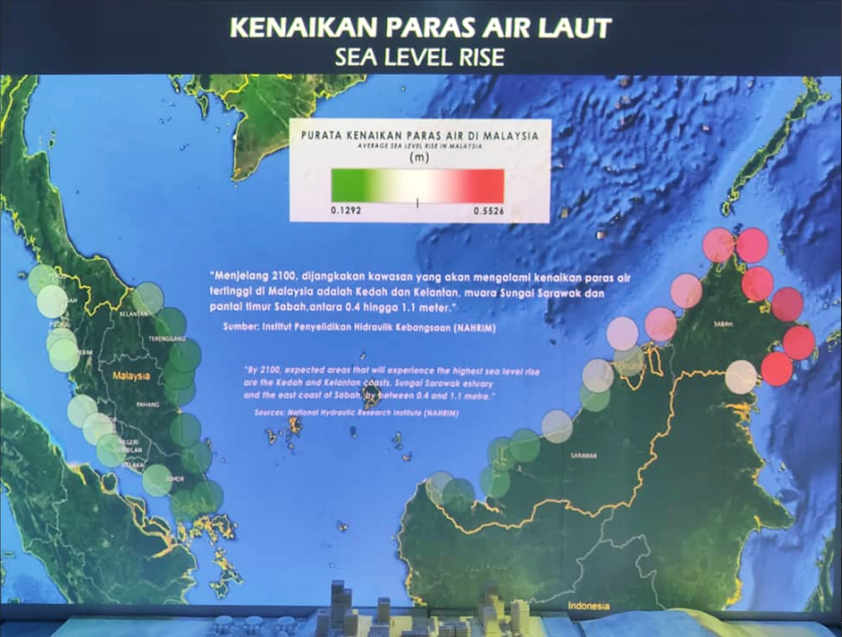 Surviving climate change in Borneo