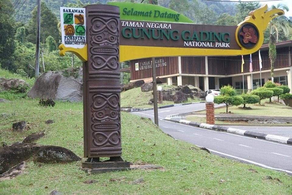 SFC: Gunung Gading National Park Summit Trail will be opened to public ...