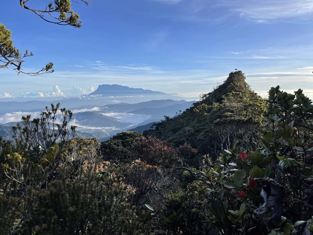 Mt Sinsing in Sabah officially third tallest mountain in Malaysia