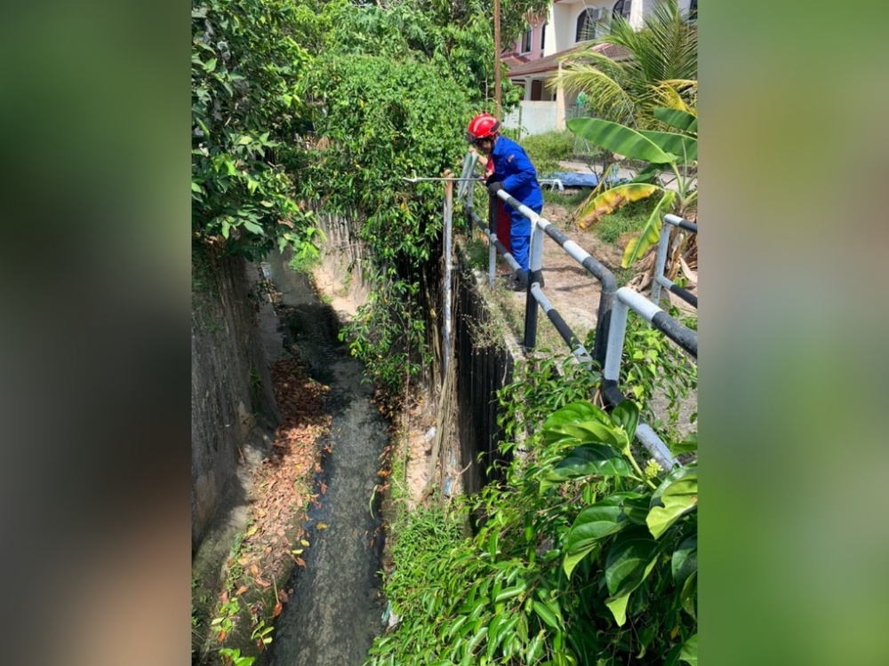 APM Miri rescues cat in drain