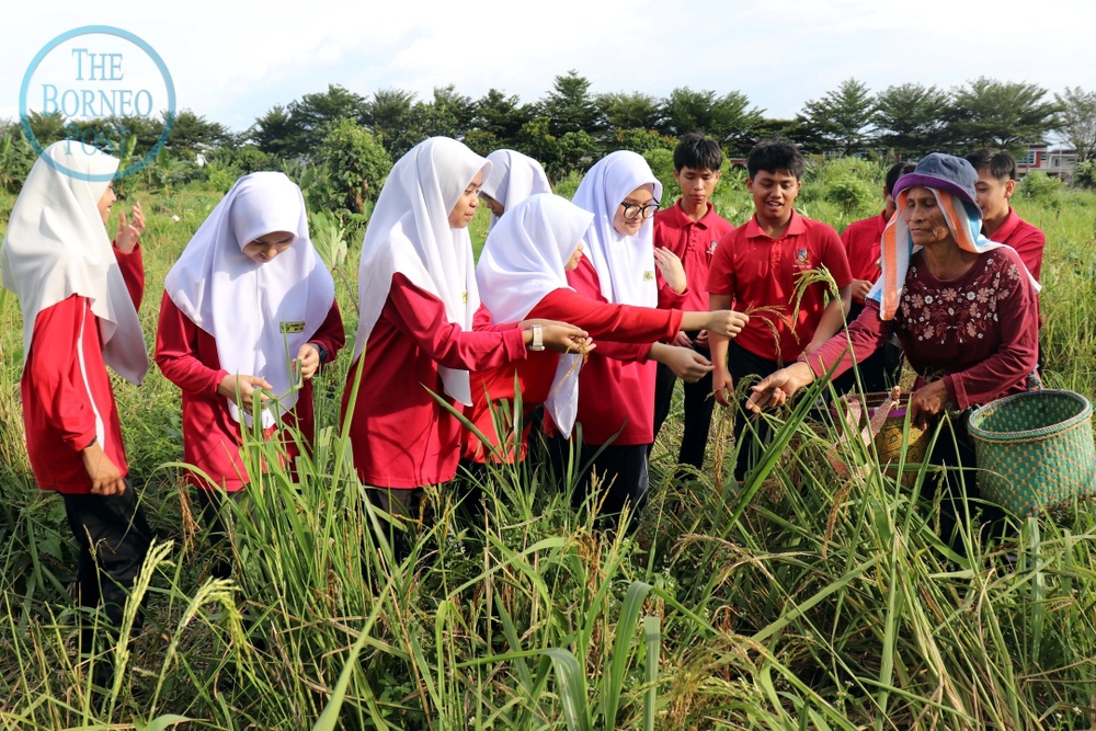 SRDC, Amcorp spruce up Sibu Jaya with green lung projects