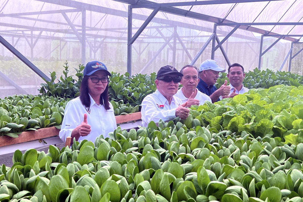 Sarawak govt to introduce contract farming to boost seed production