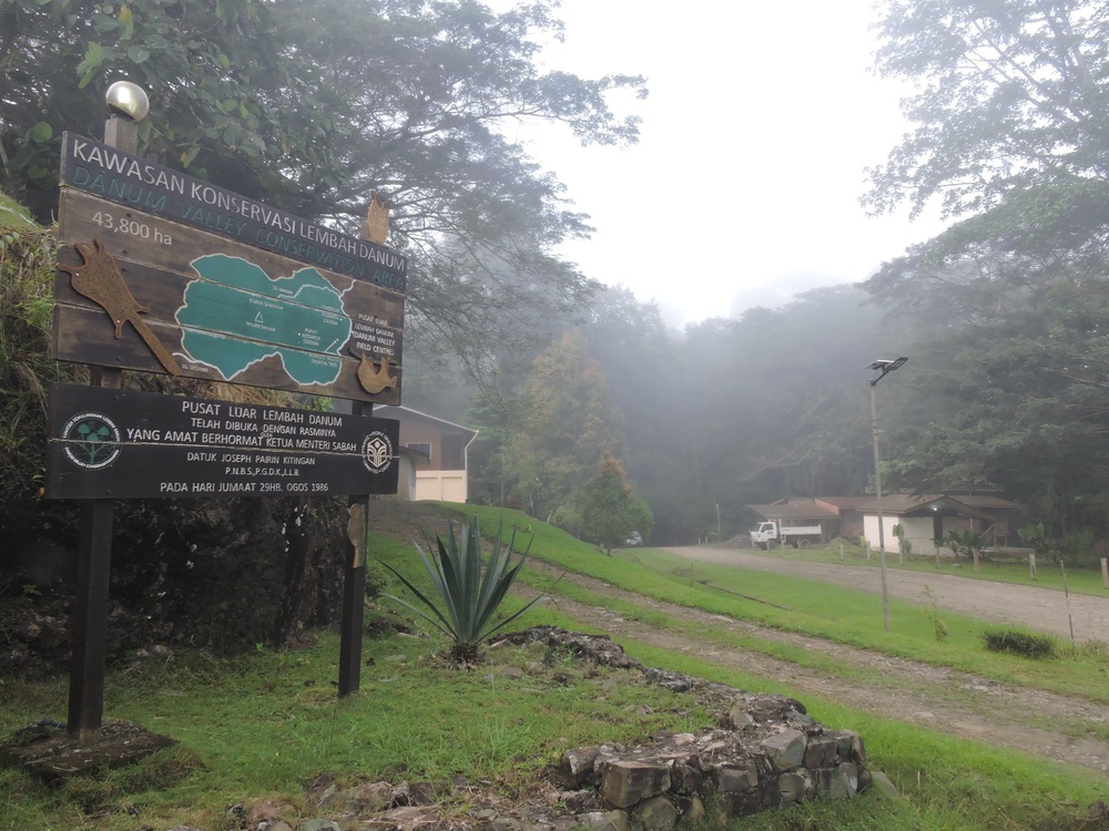 Danum Valley puts Sabah on world map as conservation hub