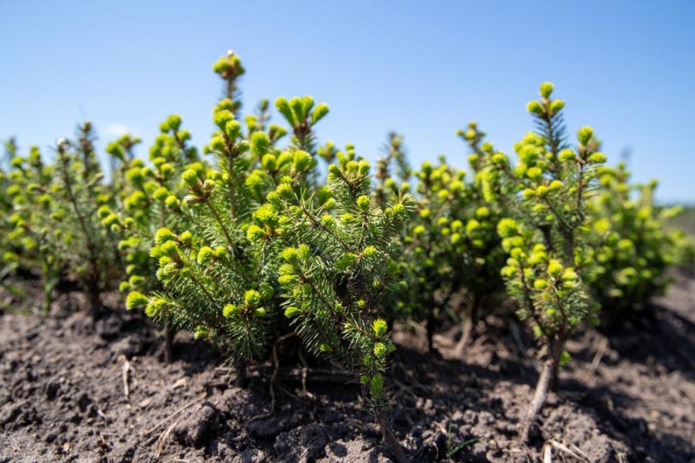 China explores, advances harmonious human-nature coexistence