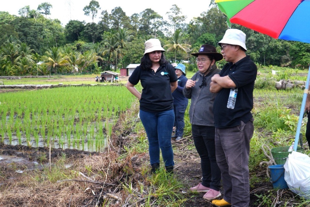 Tawang Baa padi project sets benchmark for sustainable rural farming