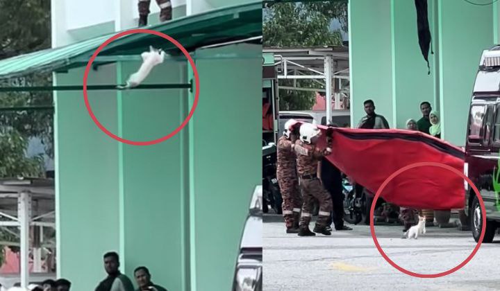 Cat’s Gymnastics Routine Goes Viral After Firefighters Miss Catch