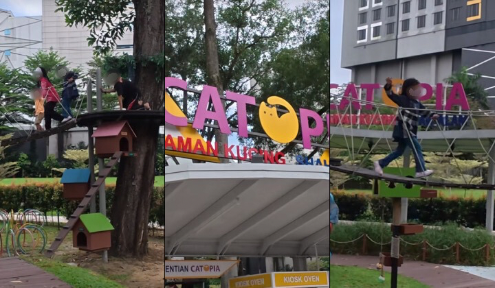 “Taman Kucing Ke Kanak-kanak?” – Individu Tegur Ibu Bapa Biar Anak Main ...