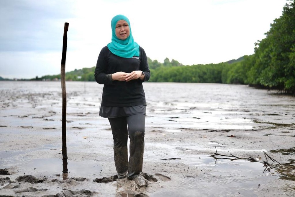 Malaysian Marine Scientists On A Mission To Save Sabah’s Seagrass Meadows