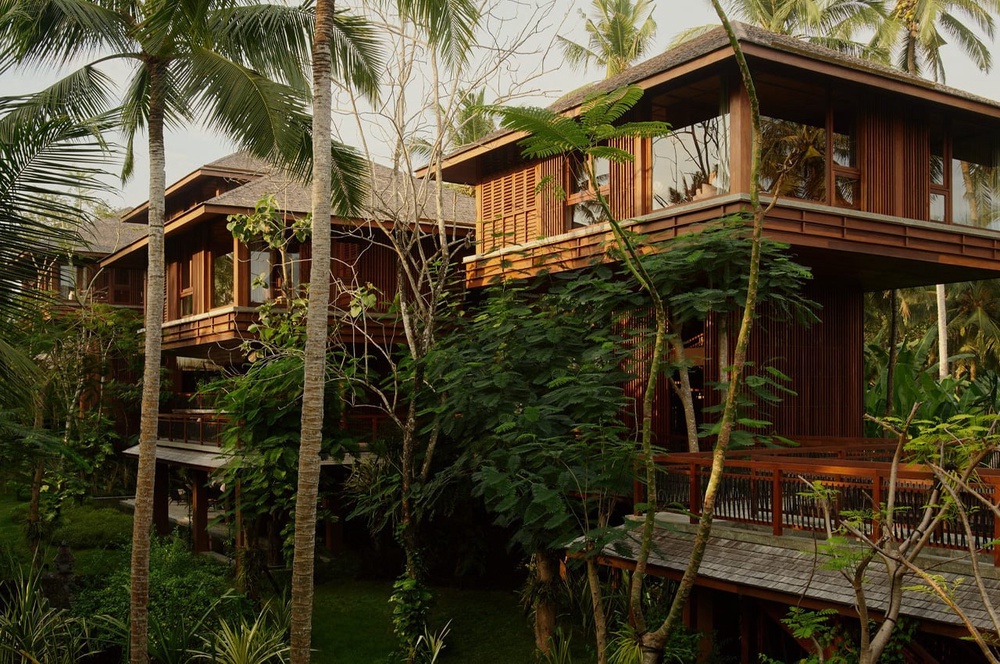 This Treetop Resort In Bali Is The Dreamy Tropical Getaway Destination ...