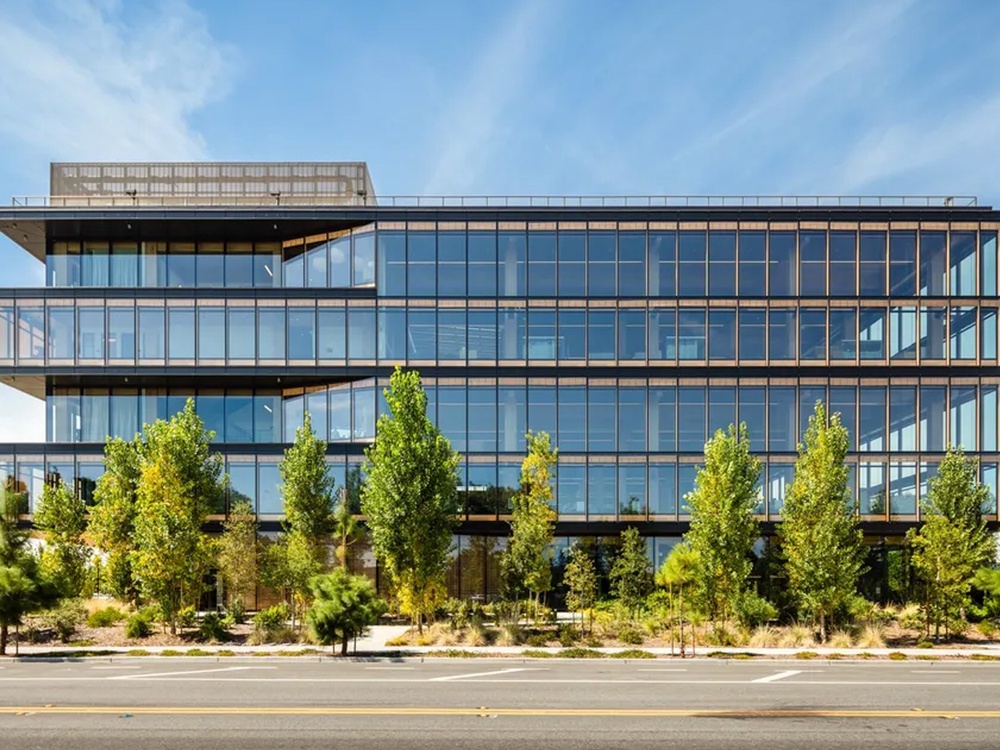 Google Unveil’s Its First Mass Timber Building That Looks After The ...