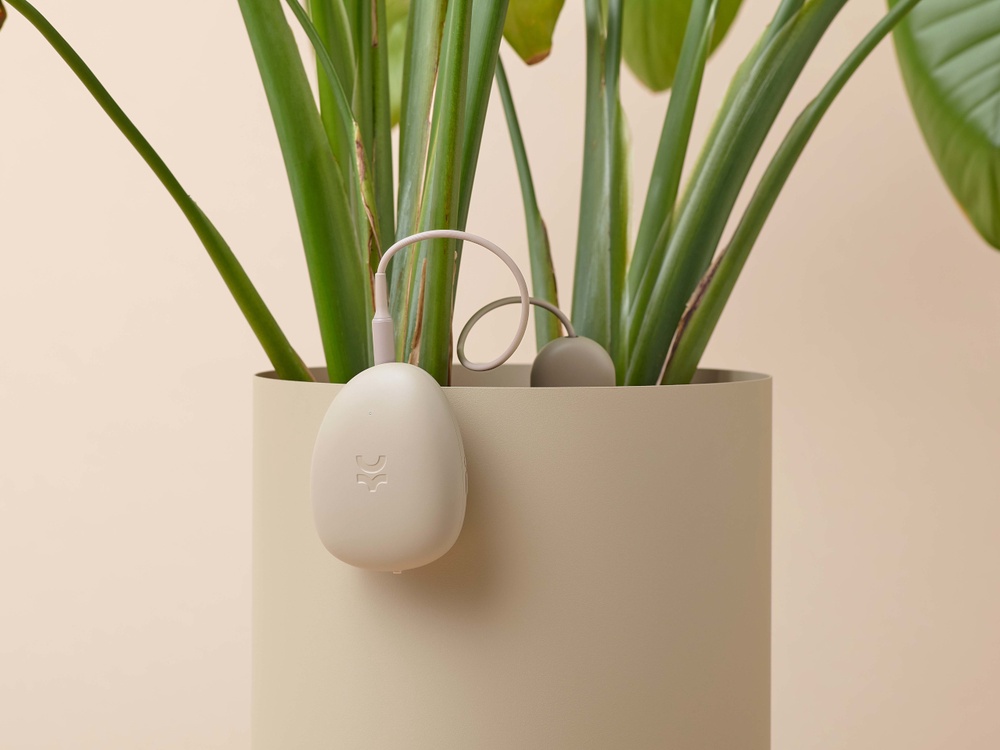 Minimalist pebble-shaped device is all you need to know your plant’s health