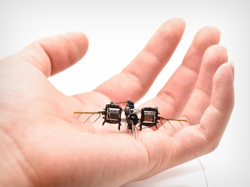 MIT’s New Insect-Sized Winged Drones Have a Flight-Time of 17 Minutes