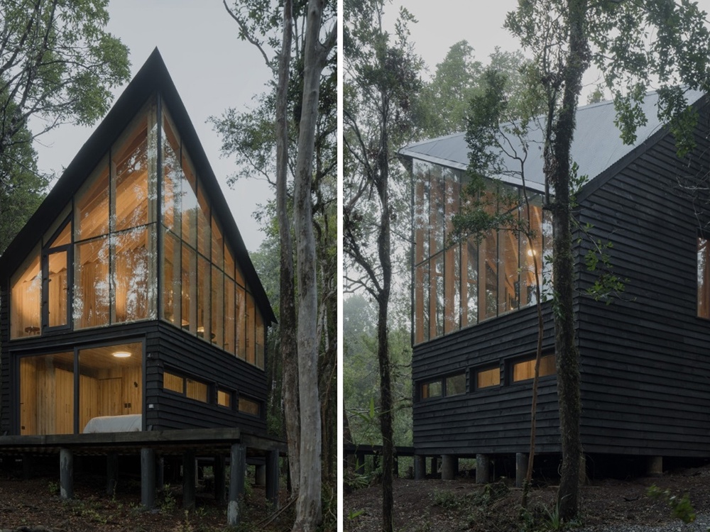 Tiny Vertical Cabin In Chile’s Rainforest: The Ultimate Vacation Escape ...