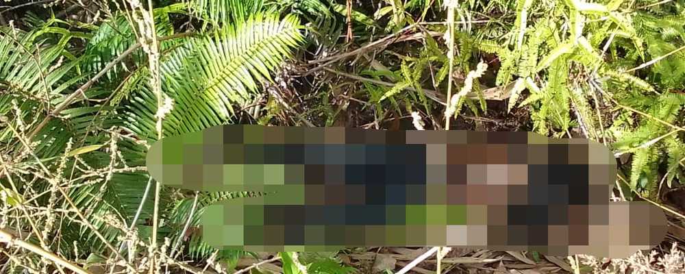 Decomposed body found along Tulid–Tongod roadside