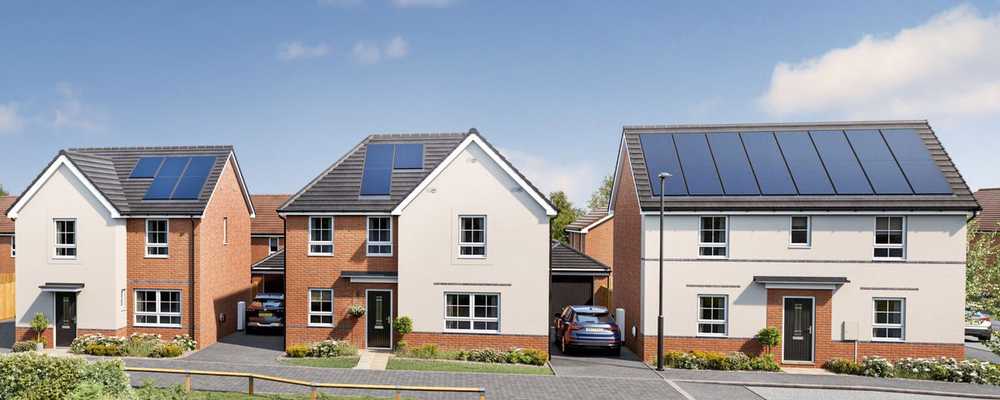 solar panels octopus