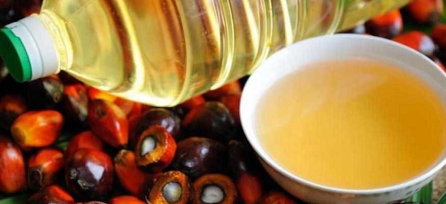 Tindakan Indonesia tunda pelaksanaan B50 dikhuatiri tekan harga minyak ...