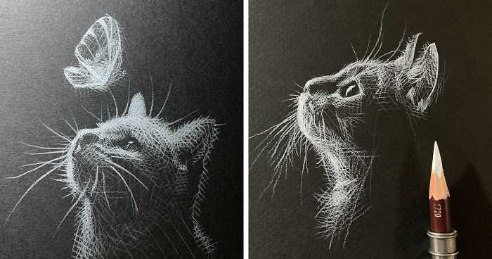 Illuminating The Dark: 36 Drawings Using White Ink On Black Paper