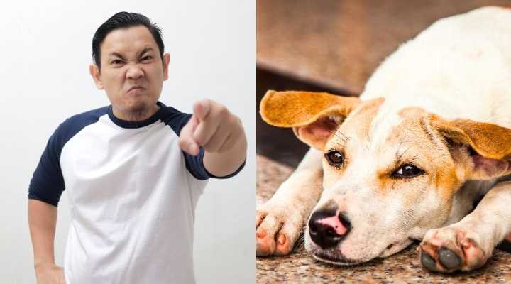 Panggil Orang ‘Anjing’, ‘Babi’ Boleh Dihukum Penjara 6 Bulan Di Indonesia