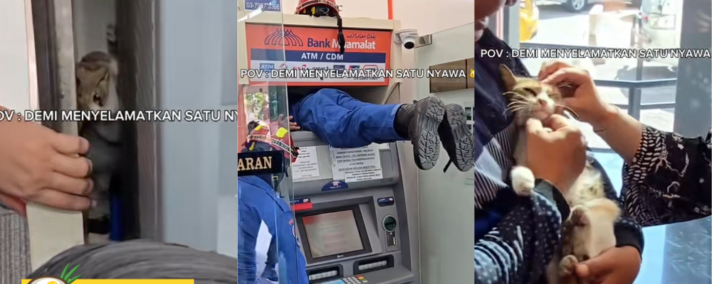 Abang APM ‘Inserts’ Half Of His Body Into ATM To Rescue Cat That Was ...