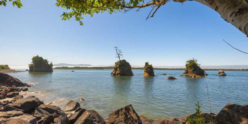 Remains that washed up on Washington beach identified as former Oregon ...