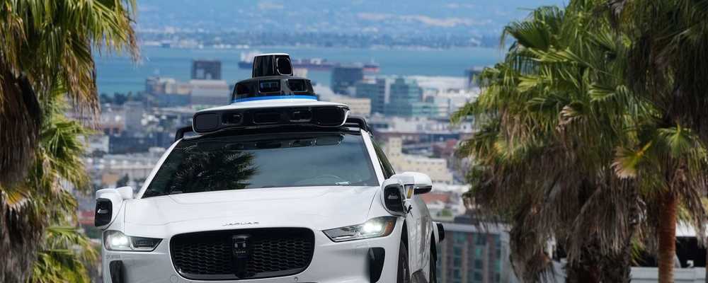 Waymo hits dog in San Francisco just weeks after beloved cat was killed ...