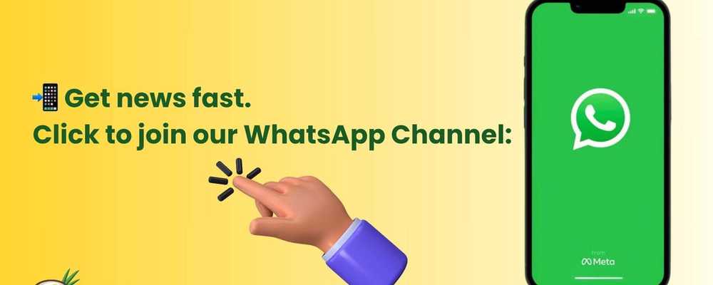 OPPO’s Reno15 Was Tested On Horses, At Picnics & Everywhere People ...