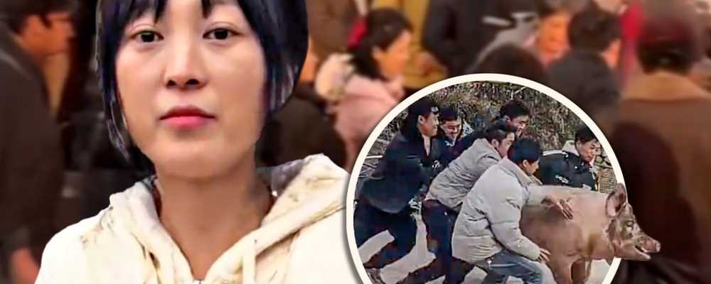 Chinese woman seeks online help to slaughter pigs, attracting over ...